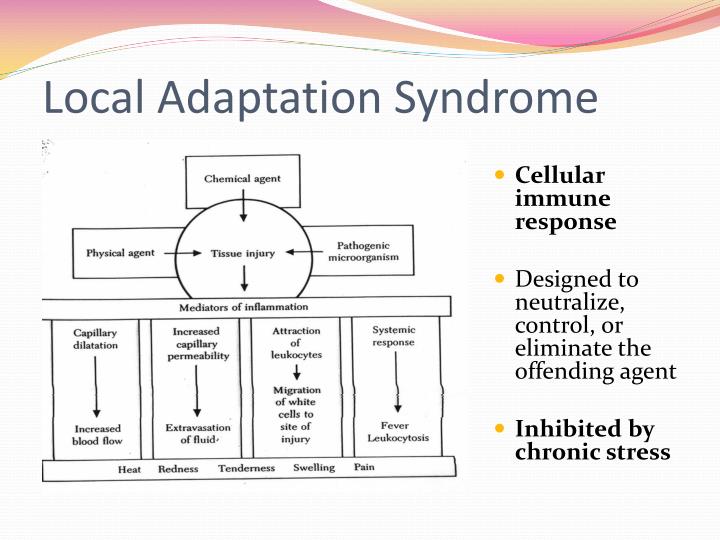PPT - Stress Physiology PowerPoint Presentation - ID:6095452