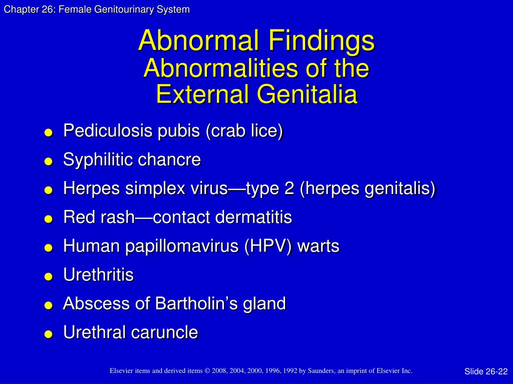 Ppt Female Genitourinary System Powerpoint Presentation Free