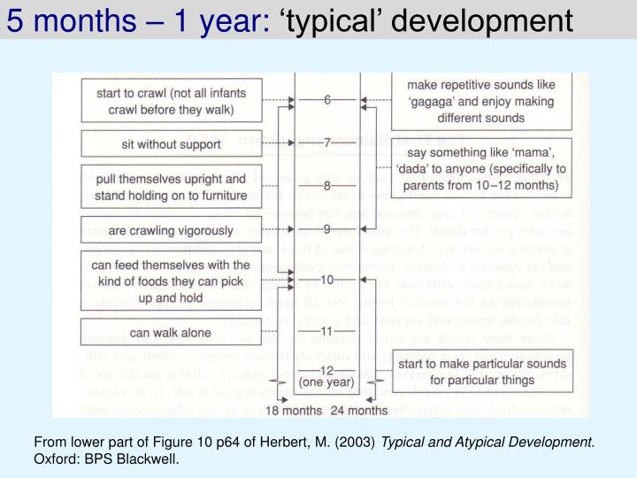 PPT - Child Development - typical and atypical development PowerPoint ...