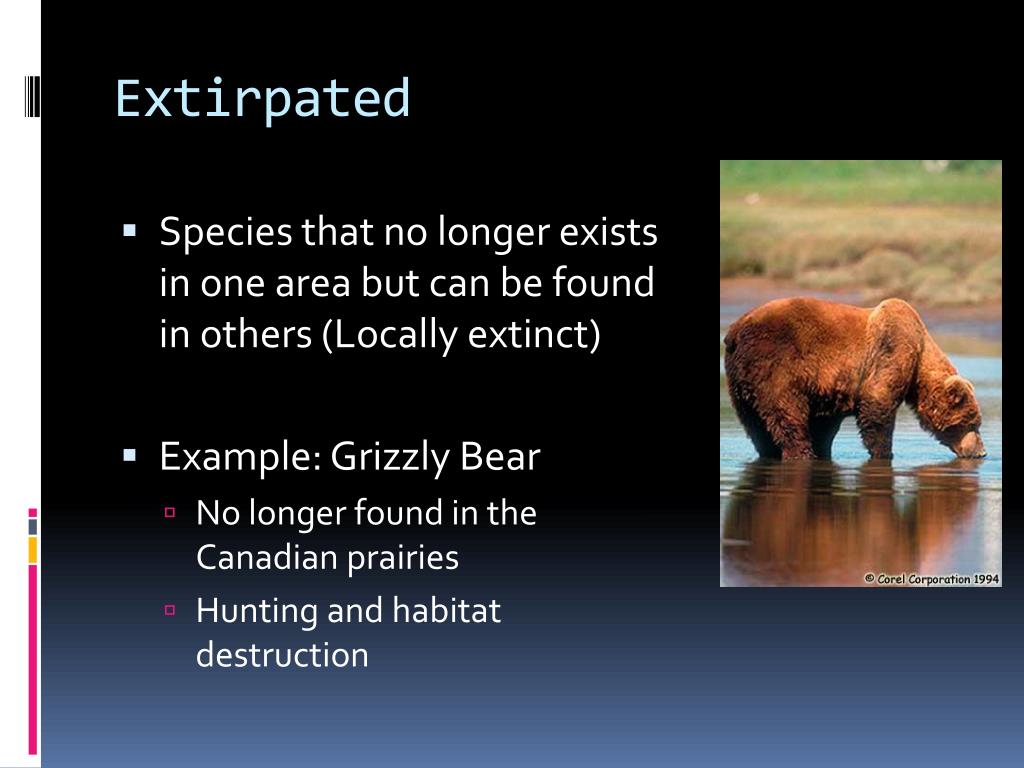 PPT - Canada’s Endangered Species PowerPoint Presentation, free ...