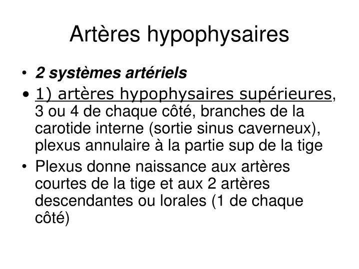 PPT - L'HYPOPHYSE PowerPoint Presentation - ID:6097745