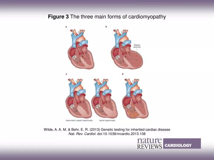 PPT - Wilde, A. A. M. & Behr, E. R. (2013) Genetic testing for ...
