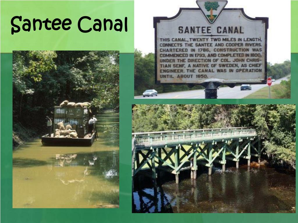PPT - South Carolina Regions PowerPoint Presentation, free download ...