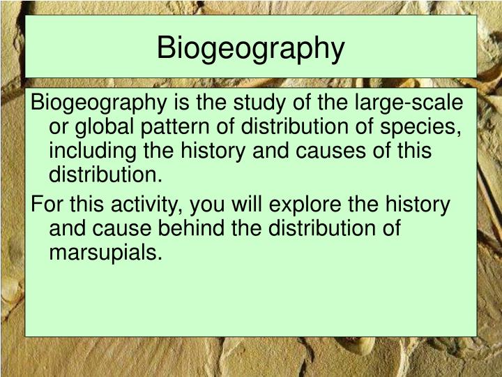 PPT - Evidence of Evolution PowerPoint Presentation - ID:6099202