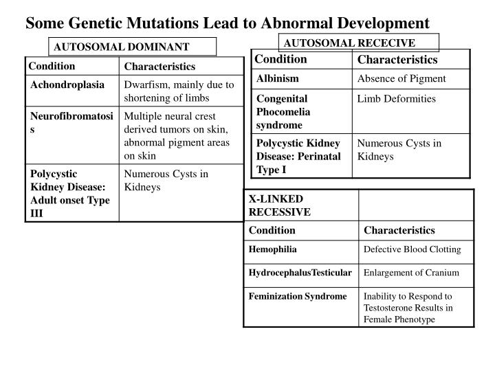 PPT - CONGENITAL MALFORMATIONS AND TERATOLOGY PowerPoint Presentation ...