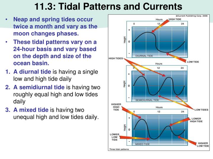 PPT - Chapter 10 Waves Chapter 11 Tides PowerPoint Presentation - ID ...