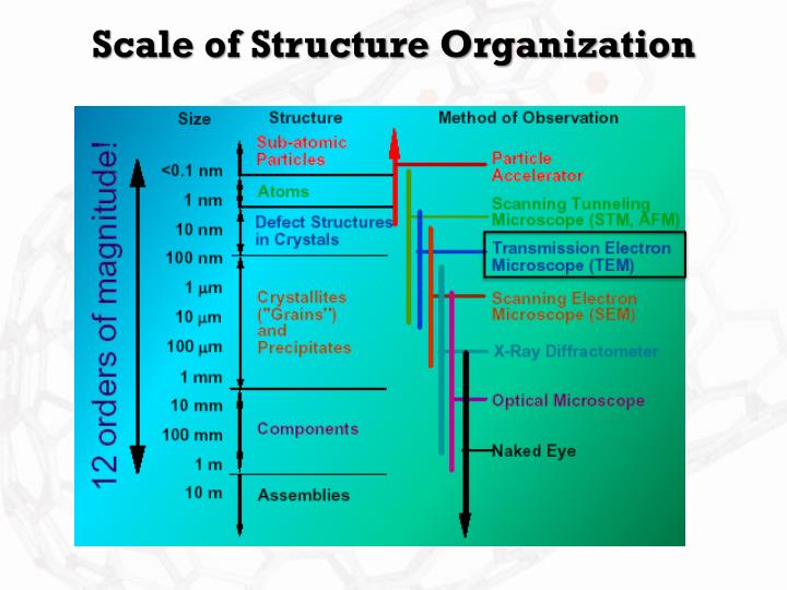 PPT - Transmission Electron Microscopy (TEM) PowerPoint Presentation ...