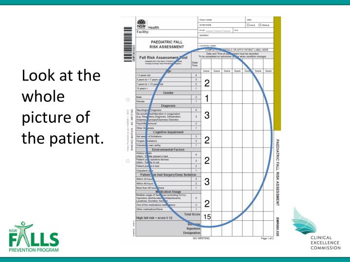 PPT - NSW Paediatric Fall Risk Assessment PowerPoint Presentation - ID ...