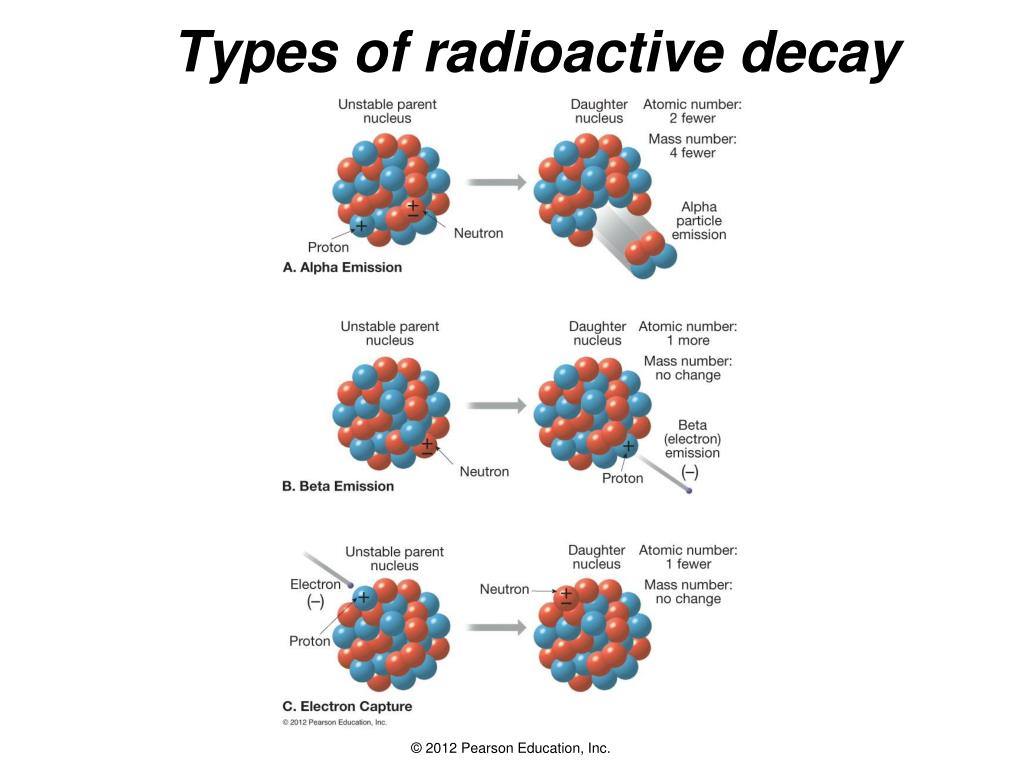 Radioactivity And The Types Of Radioactive Decay - vrogue.co Radioactivity And The Types Of Radioactive Decay - vrogue.co