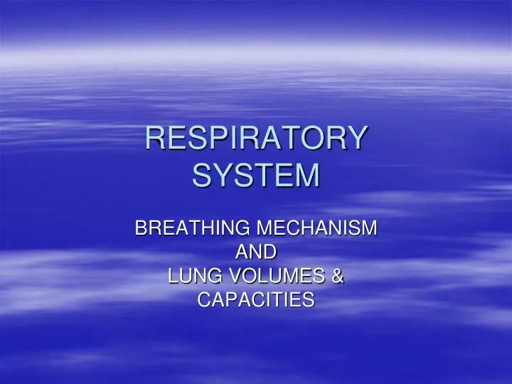 PPT - RESPIRATORY SYSTEM PowerPoint Presentation, free download - ID ...