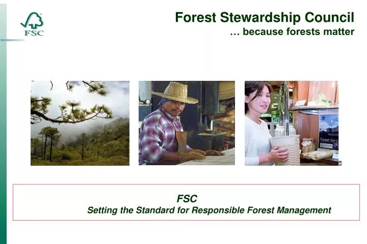PPT - FSC Setting the Standard for Responsible Forest Management ...
