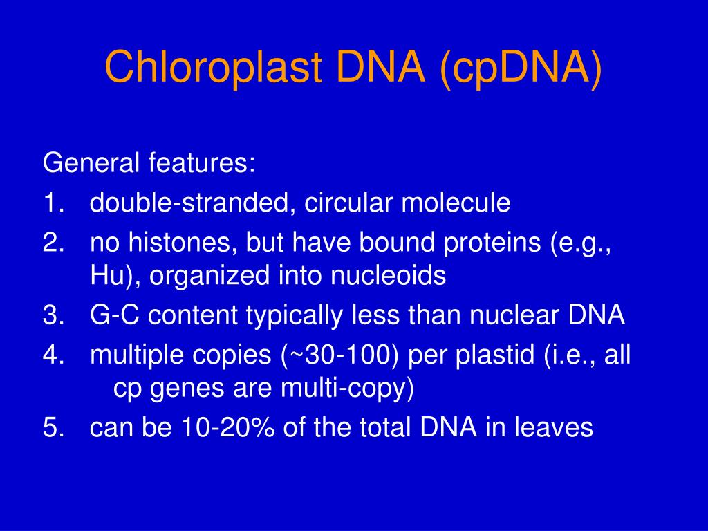 PPT - Pioneers in chloroplast & plant molecular biology PowerPoint ...