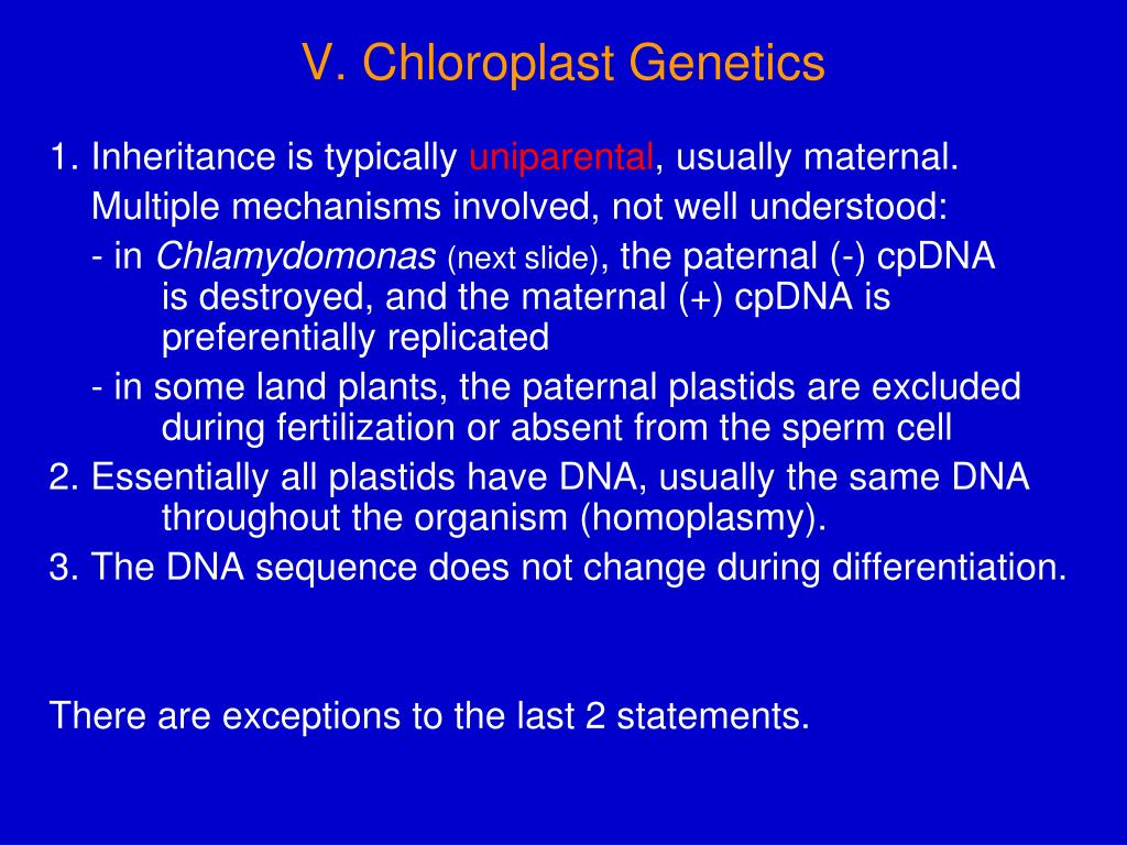 PPT - Pioneers in chloroplast & plant molecular biology PowerPoint ...