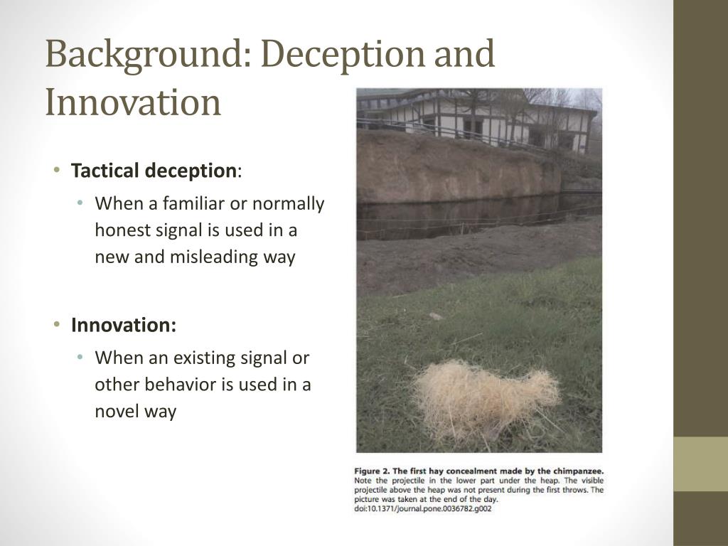 PPT - Spontaneous Innovation for Future Deception in a Male Chimpanzee ...