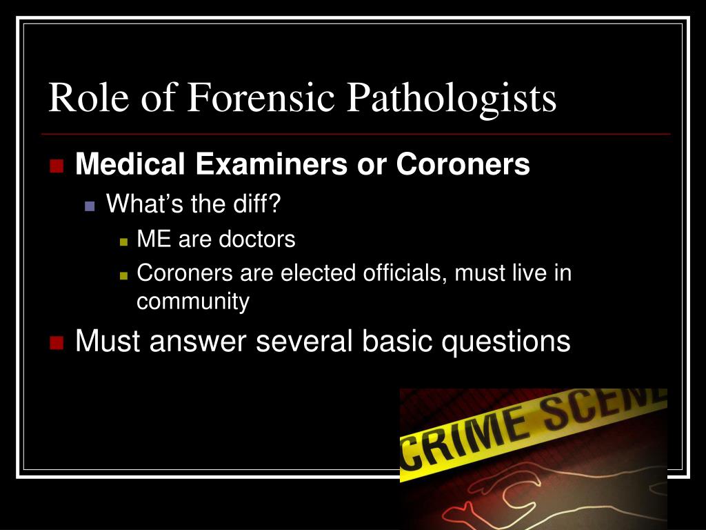 PPT - The Murder Scene: Death & Autopsies PowerPoint Presentation - ID ...