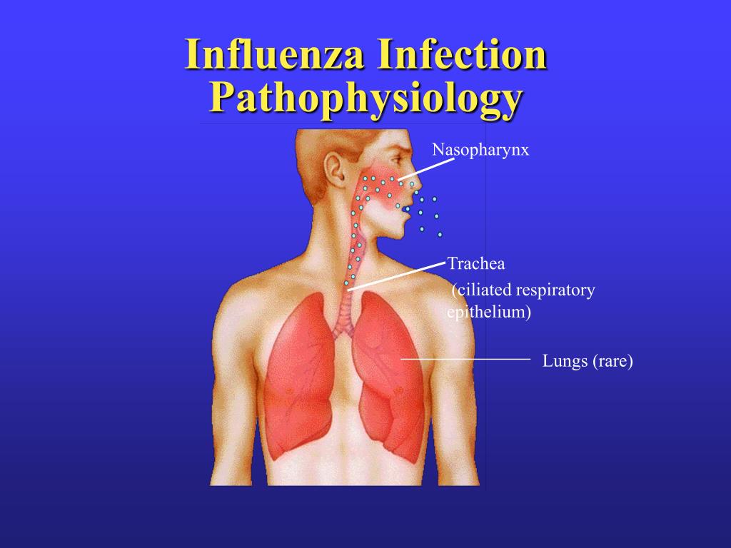 PPT - Prevention of Influenza in Nursing Home Residents: An Update ...