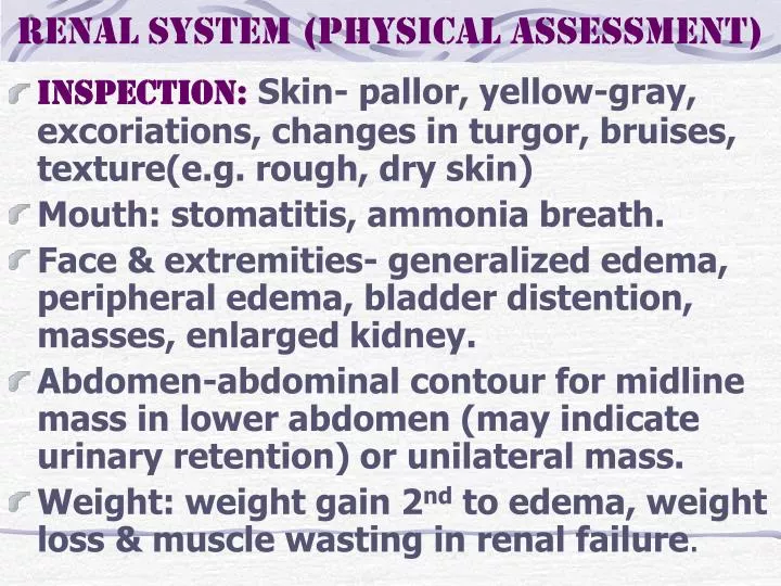 PPT - Renal system (physical assessment) PowerPoint Presentation, free ...