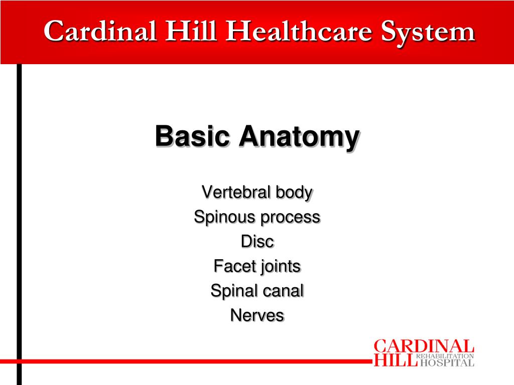 PPT - Cardinal Hill Healthcare System PowerPoint Presentation, free ...