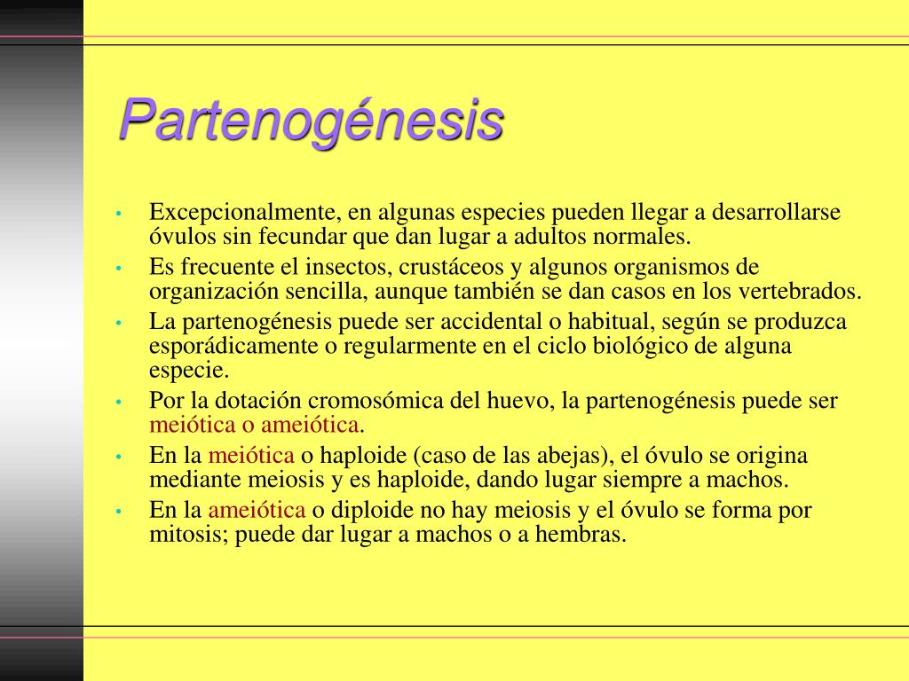 PPT - TEMA 10: LA REPRODUCCIÓN EN LOS ANIMALES PowerPoint Presentation ...