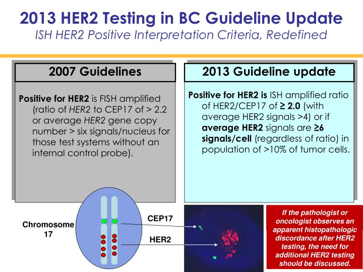PPT - HER2 Testing in Breast Cancer: 2013 ASCO/CAP HER2 Guideline ...