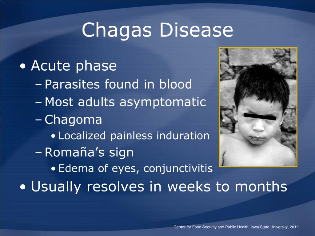 PPT - American Trypanosomiasis Chagas Disease PowerPoint Presentation ...