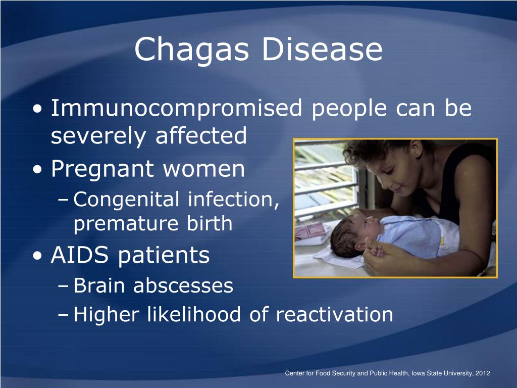 PPT - American Trypanosomiasis Chagas Disease PowerPoint Presentation ...