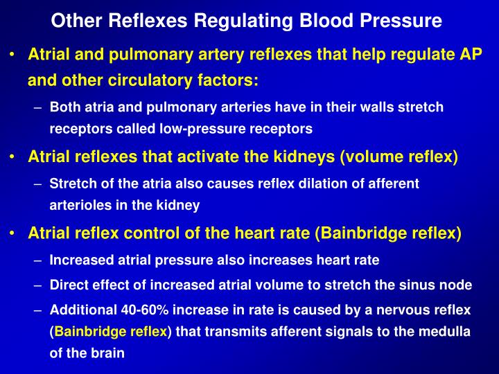 PPT - Nervous Regulation of Circulation and Rapid Control of Arterial ...