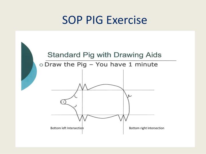 PPT - Codification Kick-off Meeting Standard Operating Procedures ...