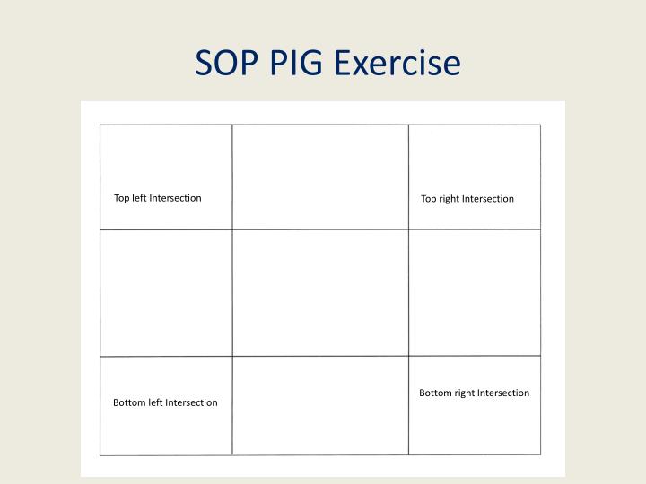 PPT - Codification Kick-off Meeting Standard Operating Procedures ...