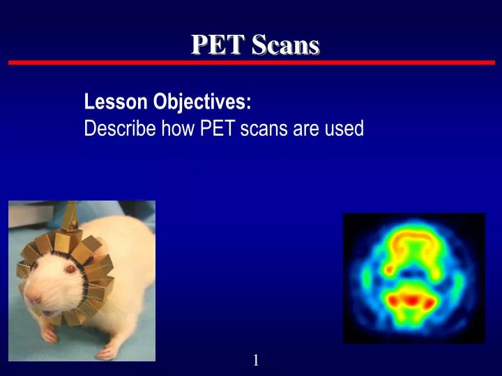 PPT - PET Scans PowerPoint Presentation, free download - ID:6111551