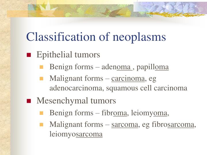 PPT - Neoplasia PowerPoint Presentation - ID:6111587
