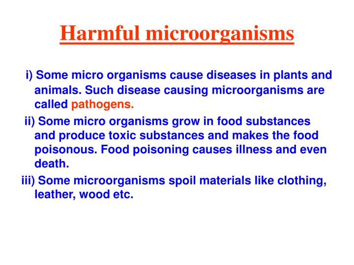 PPT - CHAPTER - 2 MICROORGANISMS : FRIEND AND FOE PowerPoint ...