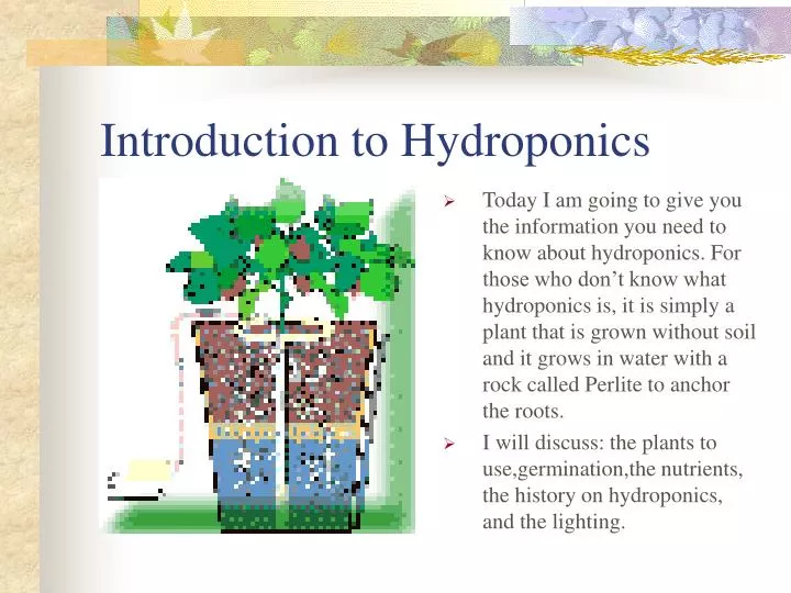 PPT - Introduction to Hydroponics PowerPoint Presentation, free ...