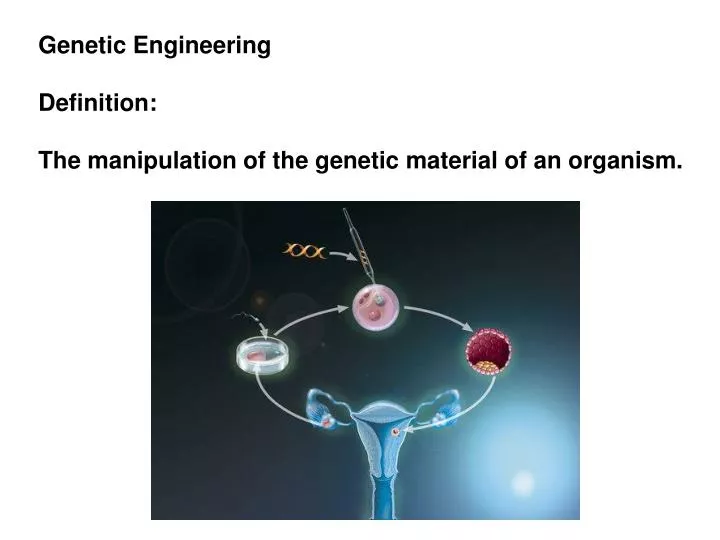 PPT - Genetic Engineering Definition: The manipulation of the genetic ...