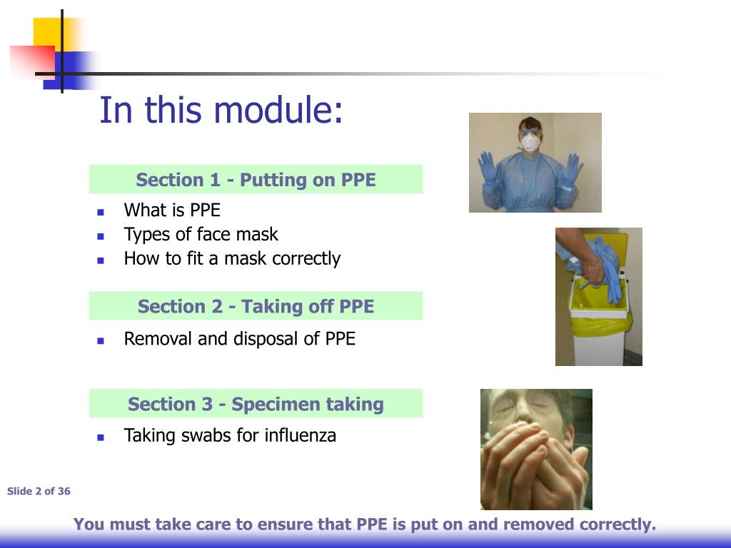 PPT - Fitting of Personal Protective Equipment (PPE) and taking swabs ...