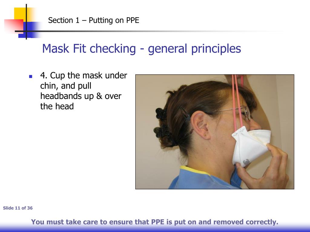 PPT - Fitting of Personal Protective Equipment (PPE) and taking swabs ...