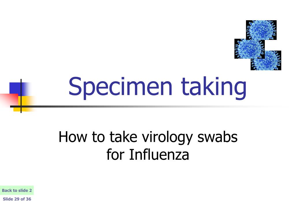 PPT - Fitting of Personal Protective Equipment (PPE) and taking swabs ...