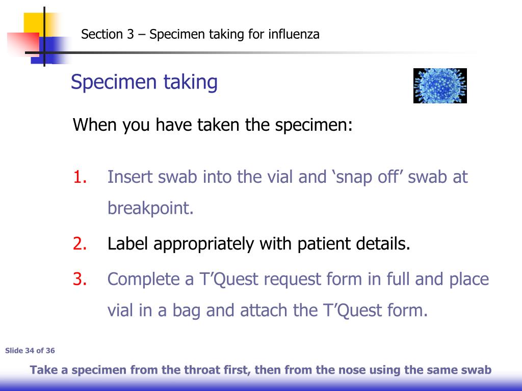 PPT - Fitting of Personal Protective Equipment (PPE) and taking swabs ...