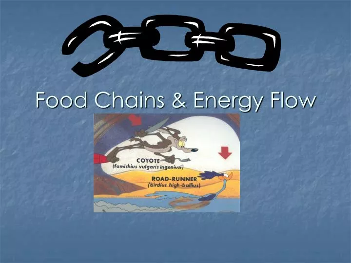 PPT - Food Chains & Energy Flow PowerPoint Presentation, free download ...