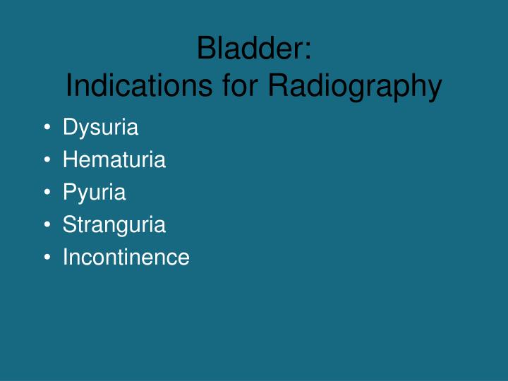 PPT - Diagnostic Imaging The Urinary System PowerPoint Presentation ...