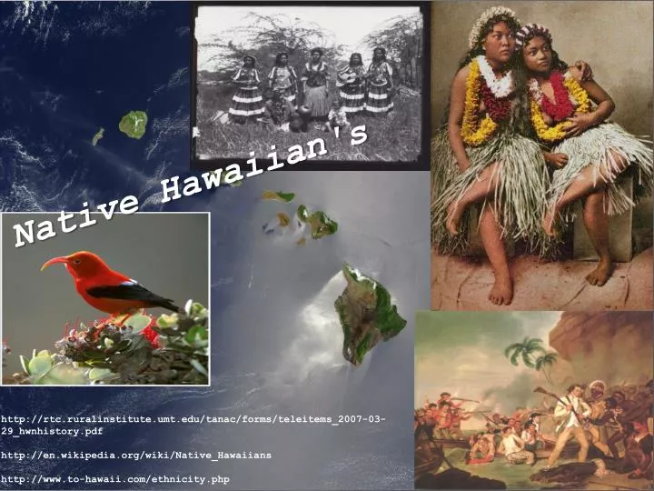 PPT - Native Hawaiian's PowerPoint Presentation, free download - ID:6114005