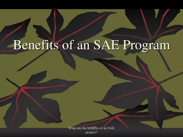 PPT - Benefits of an SAE Program PowerPoint Presentation, free download ...
