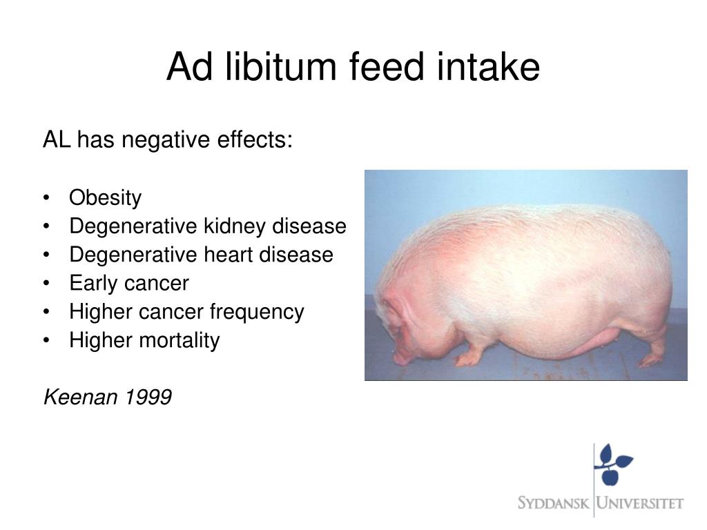 PPT - Nutrition of Laboratory Animals PowerPoint Presentation, free ...