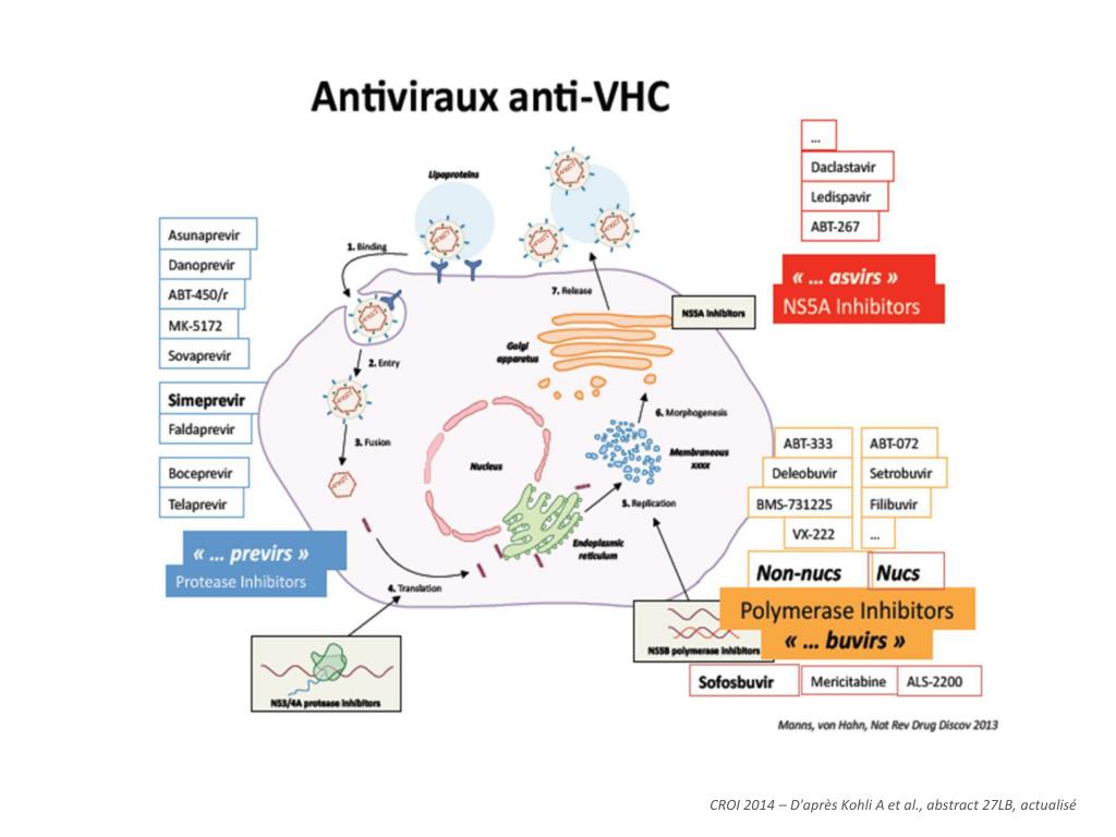 PPT - La prescription des nouveaux traitements du VHC en pratique ...