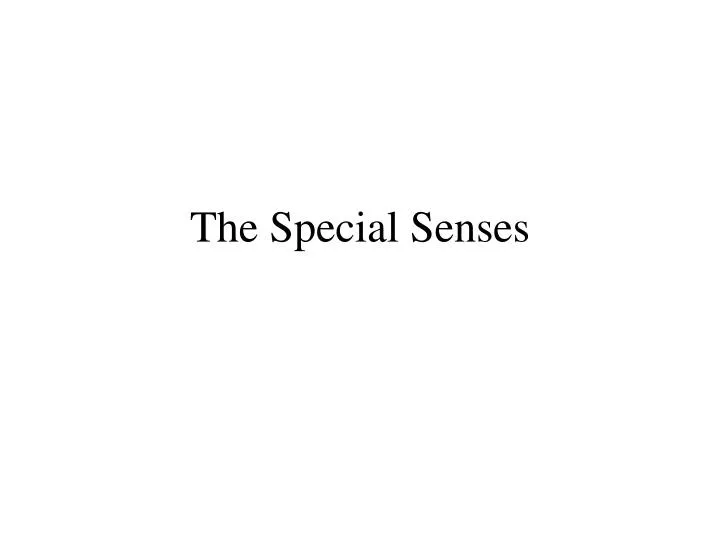PPT - The Special Senses PowerPoint Presentation, free download - ID ...