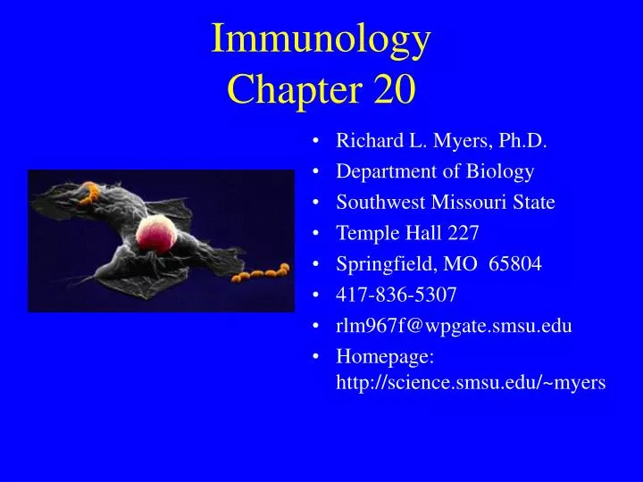 PPT - Immunology Chapter 20 PowerPoint Presentation, free download - ID ...