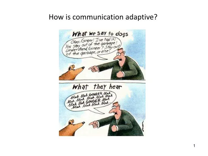 PPT - How is communication adaptive? PowerPoint Presentation, free ...
