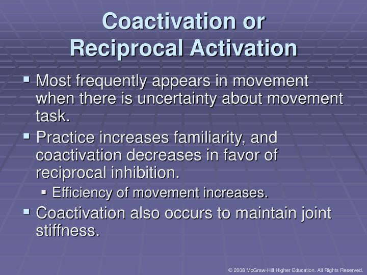 PPT - Chapter 4: The Neuromuscular Basis of Human Motion PowerPoint ...