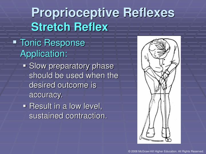 PPT - Chapter 4: The Neuromuscular Basis of Human Motion PowerPoint ...