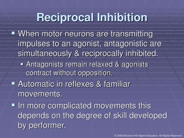PPT - Chapter 4: The Neuromuscular Basis of Human Motion PowerPoint ...